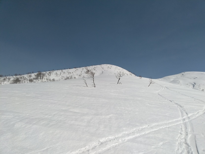 IMG_20190405_125222|石井スポ－ツ 公式サイト｜登山・スキー・アウトドア用品専門店