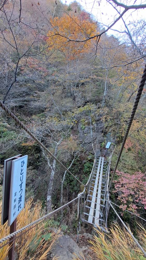 20221020_144650|石井スポ－ツ 公式サイト｜登山・スキー・アウトドア用品専門店